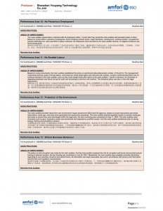 BSCI Audit Report Avaiable Now, Shenzhen Youyang Technology Co., Ltd.