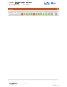 BSCI Audit Report Avaiable Now, Shenzhen Youyang Technology Co., Ltd.